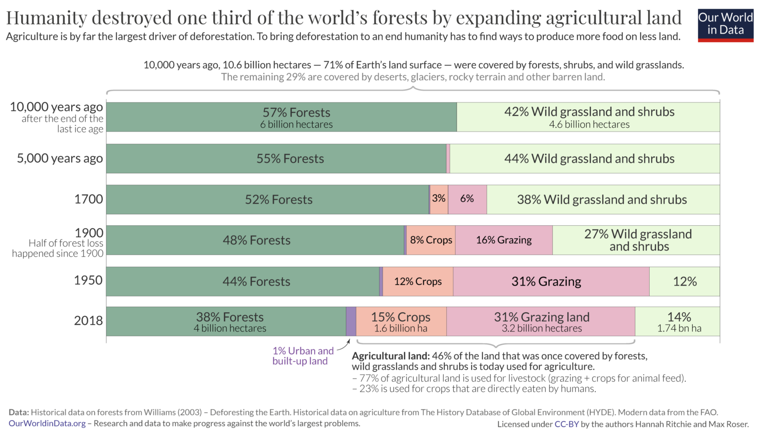 Humans Destroyed Forests for Thousands of Years. We Can Become the ...
