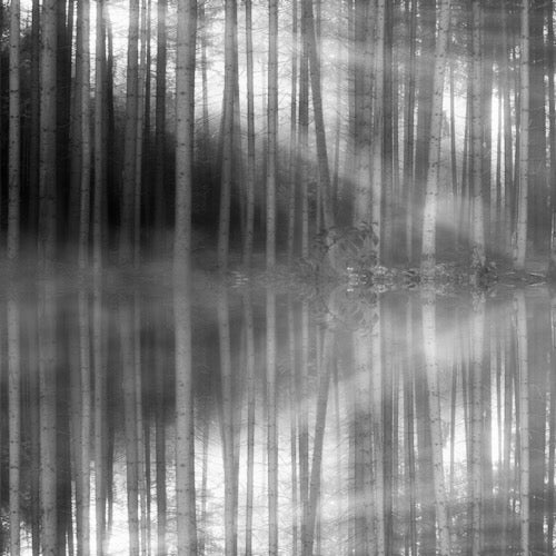 Peter Andrey Smith, Author at Singularity Hub